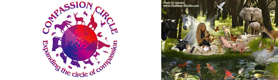 Compassion Circle